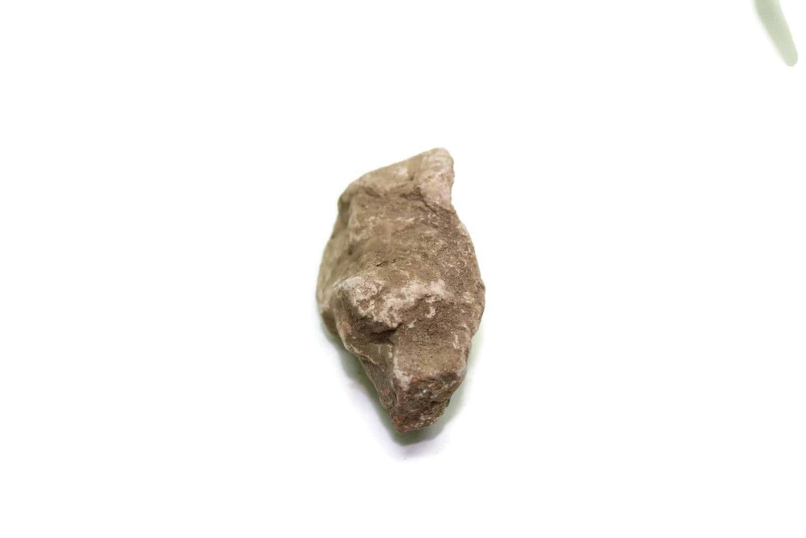 Dinosaur Bone Fragments - Buy Dinosaur Bone specimens Online - UK