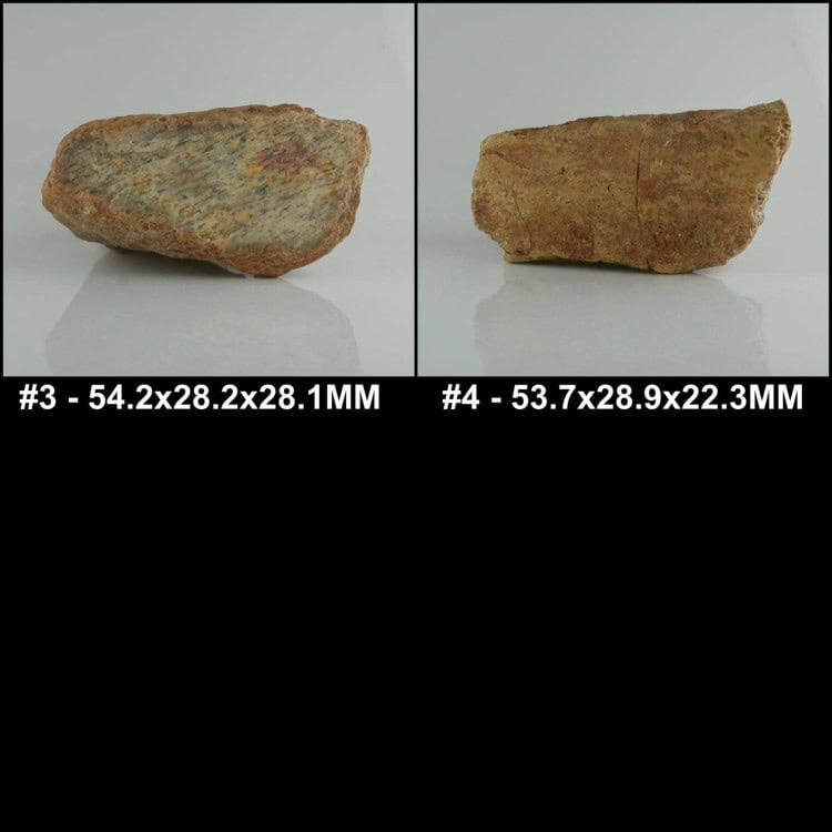 Dinosaur Bone Fragments - Buy Dinosaur Bone specimens Online - UK