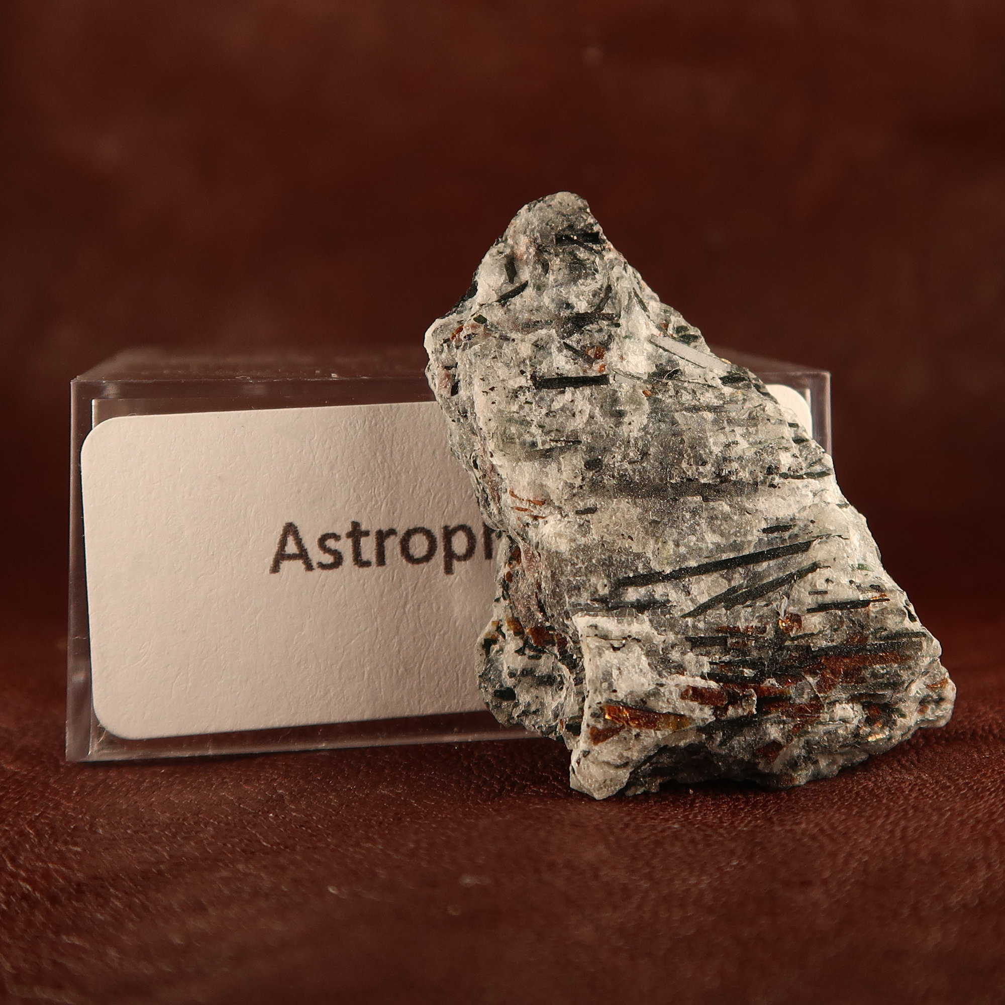Astrophyllite Specimens - Buy Astrophyllite Online - UK Mineral Suppliers