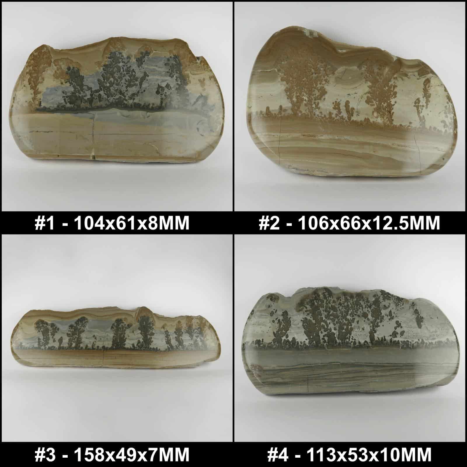 Polished Cotham Marble - Buy Cotham Marble Specimens Online - UK