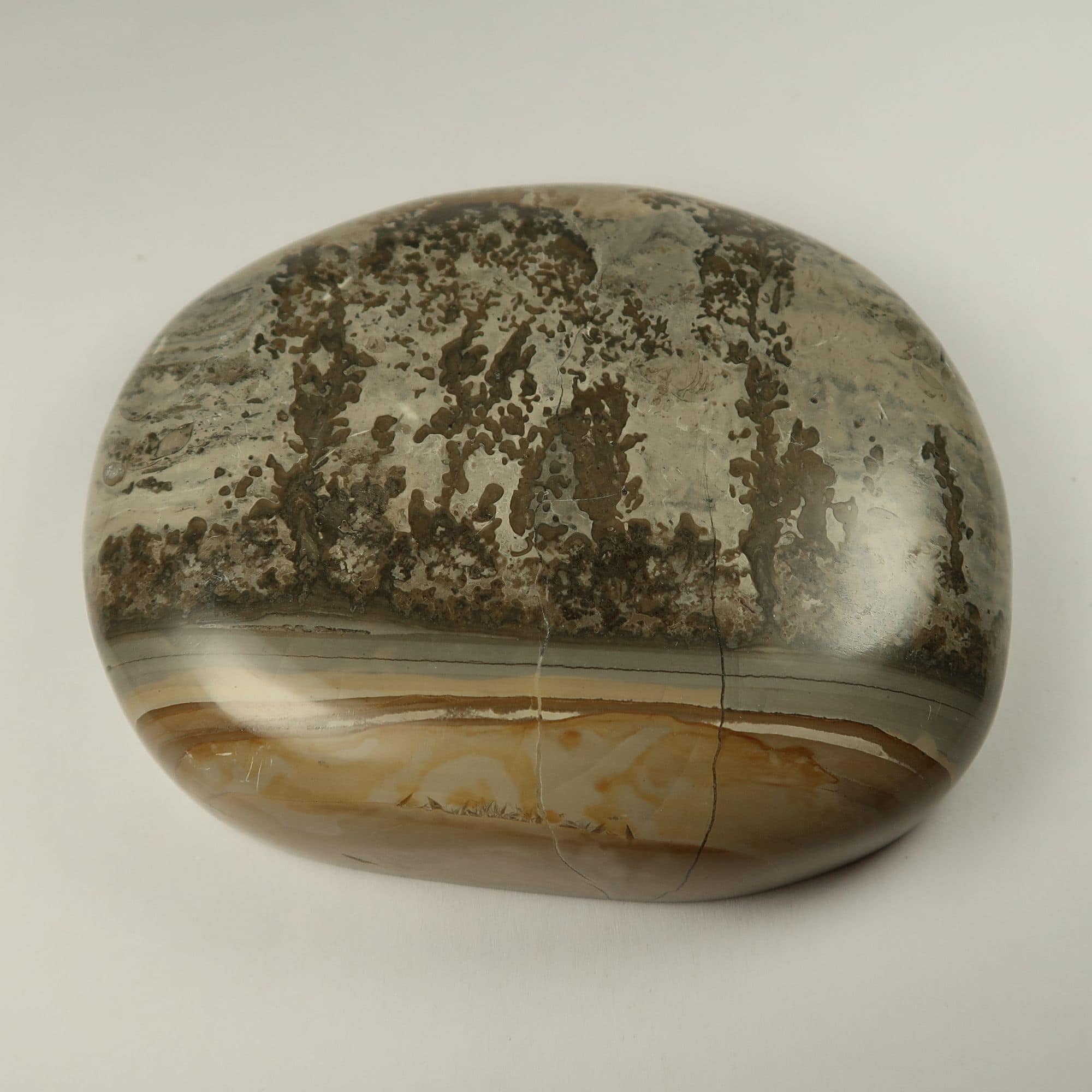 Polished Cotham Marble - Buy Cotham Marble Specimens Online - UK