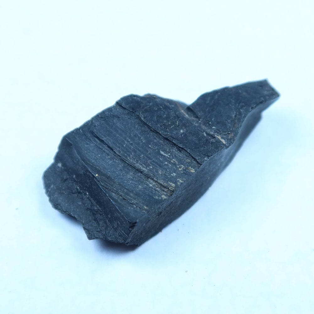 Whitby Jet with fossil impressions - Buy Whitby Jet Online