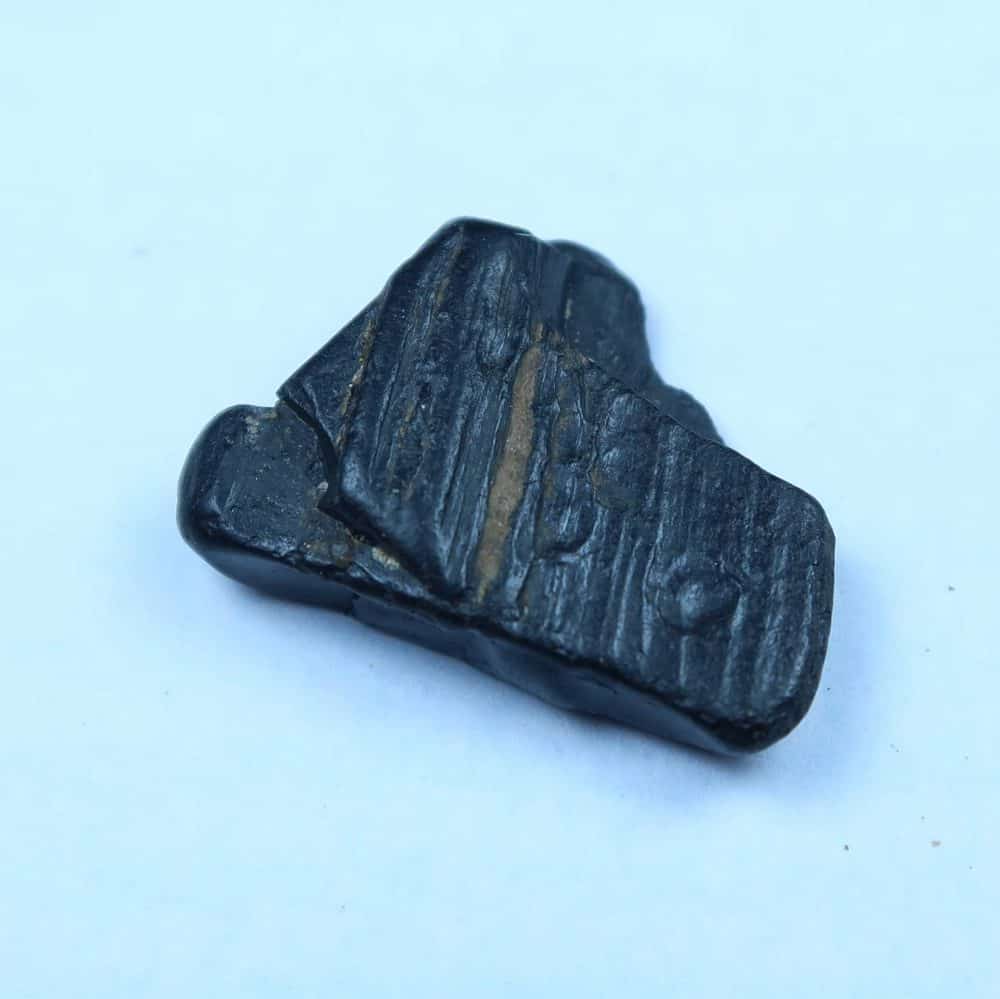 Whitby Jet with fossil impressions - Buy Whitby Jet Online