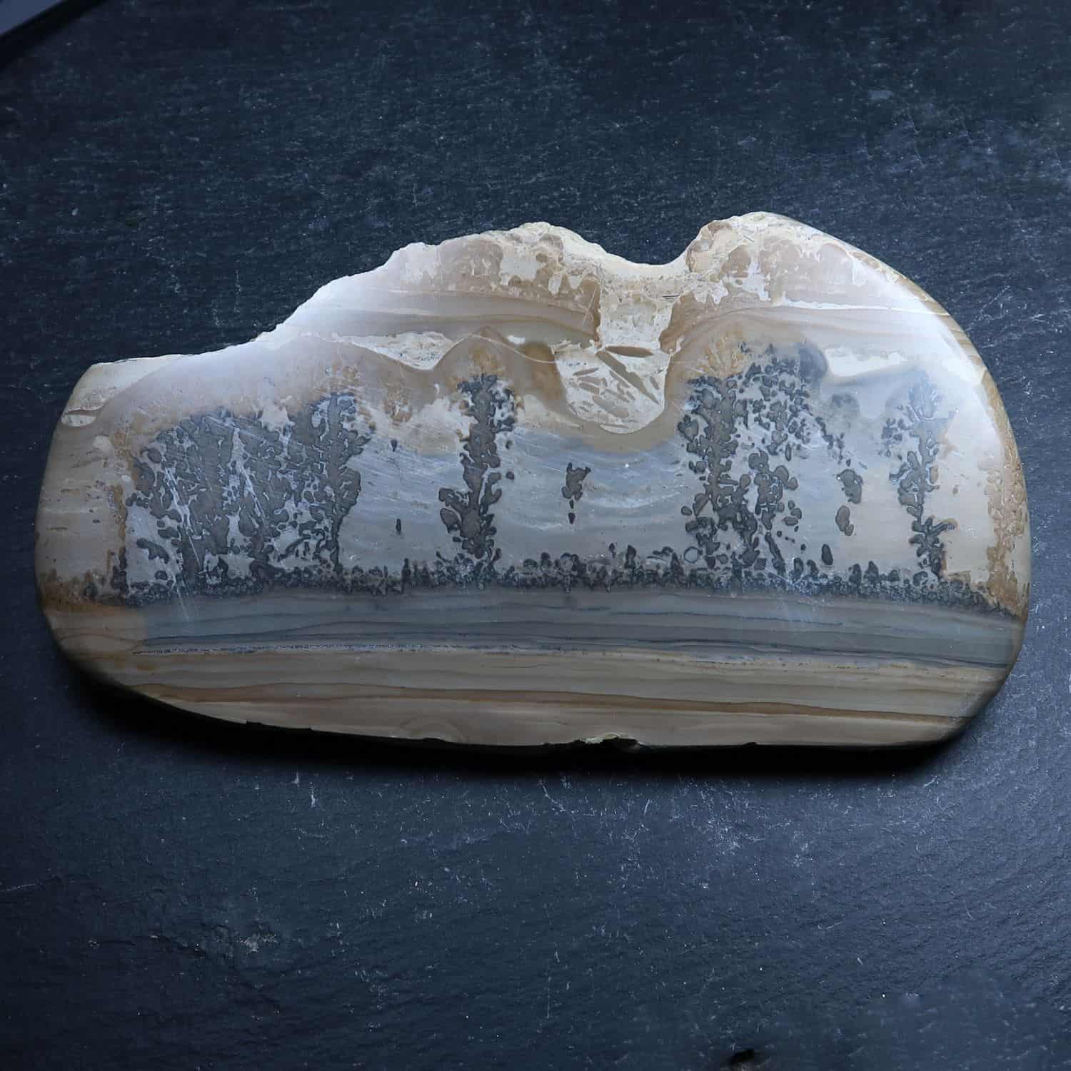 Polished Cotham Marble - Buy Cotham Marble Specimens Online - UK