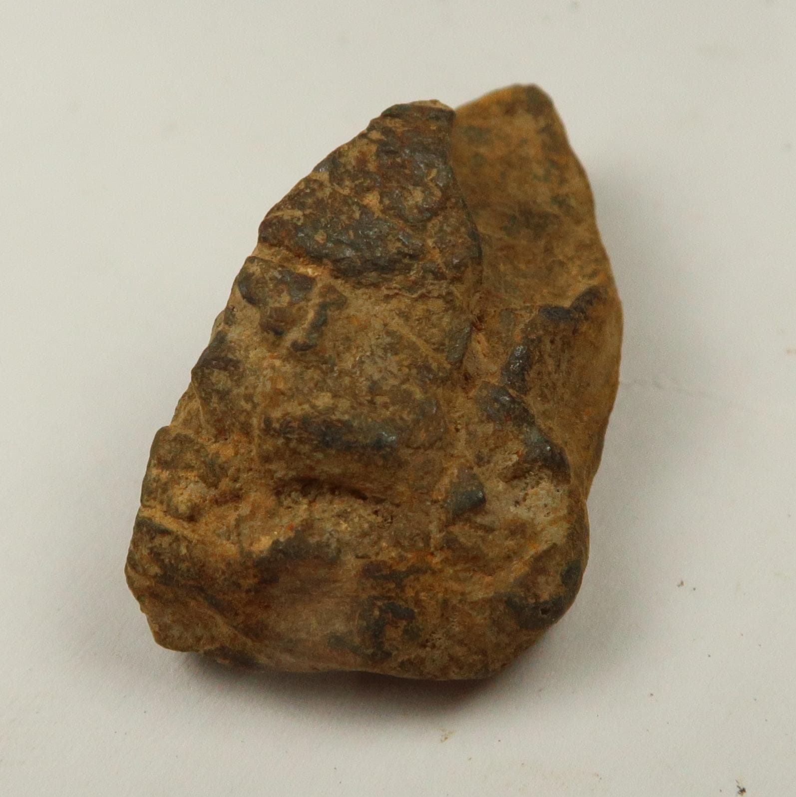 Nantan meteorite specimens from Guangxi, China | UK Shop