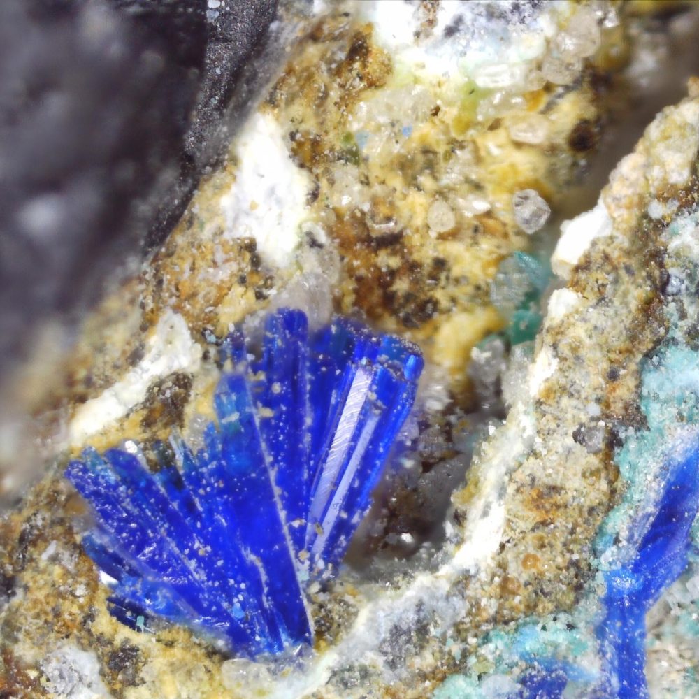 Linarite from Meadowfoot Smelter, Wanlockhead, Scotland, UK