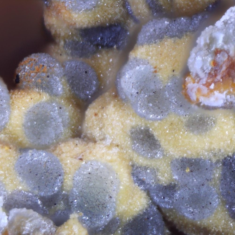 Scorodite from Penberthy Croft Mine, St Hilary, Cornwall
